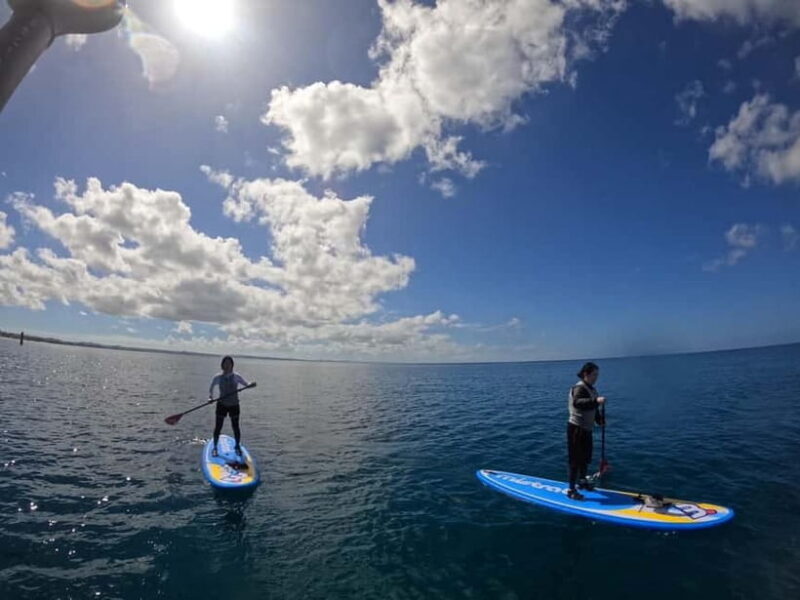 Okinawa: West Coast Stand-Up Paddleboarding Experience - Final Thoughts