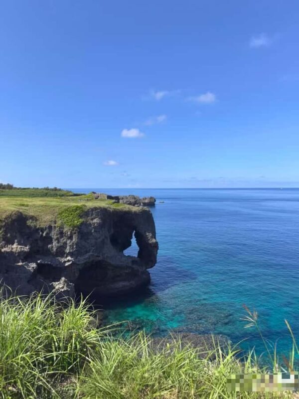 Okinawa: Yaedake Cherry Blossom Festival Private Trip - The Itinerary in Detail