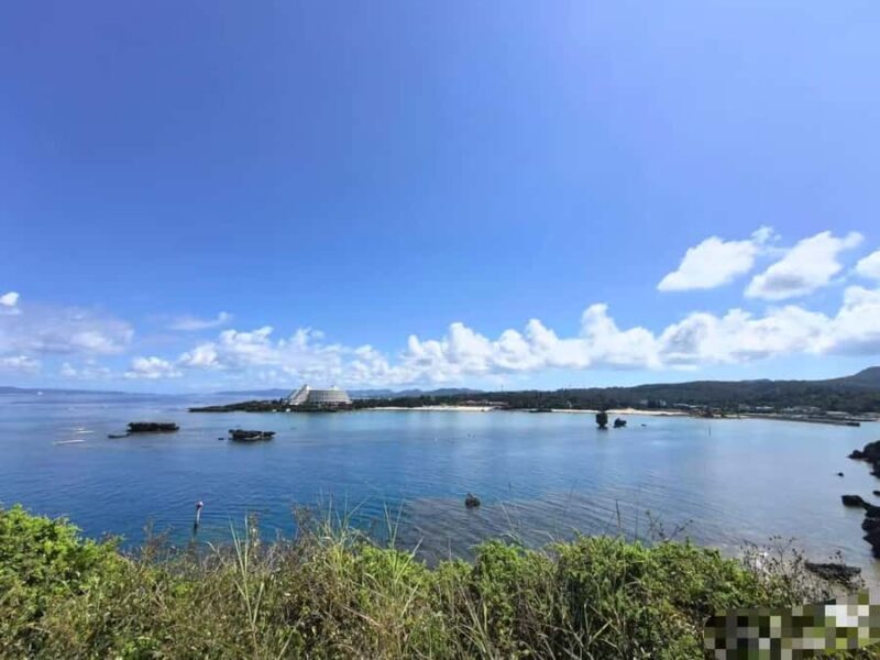 Okinawa: Yaedake Cherry Blossom Festival Private Trip - Final Thoughts