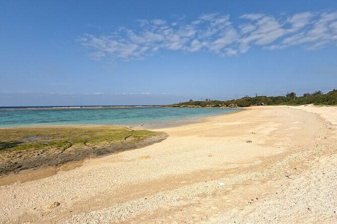 Okinawa's Gorgeous Beach & Snorkel Tour: Private & Customised - Key Points