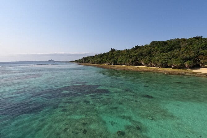 Okinawa's Gorgeous Beach & Snorkel Tour: Private & Customised - An In-Depth Look at the Okinawa Snorkel & Beach Tour