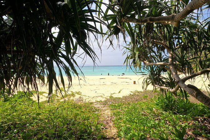 Okinawa's Gorgeous Beach & Snorkel Tour: Private & Customised - Final Thoughts