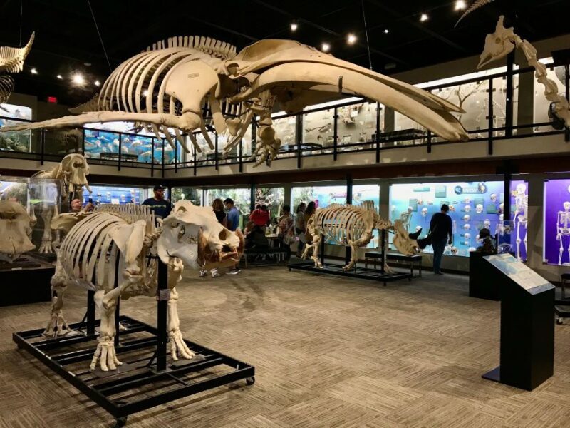 Oklahoma City: SKELETONS: Museum of Osteology Ticket - Oklahoma City: SKELETONS: Museum of Osteology Ticket – A Detailed Review