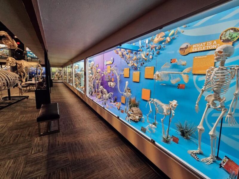 Oklahoma City: SKELETONS: Museum of Osteology Ticket - Practical Tips for Visiting