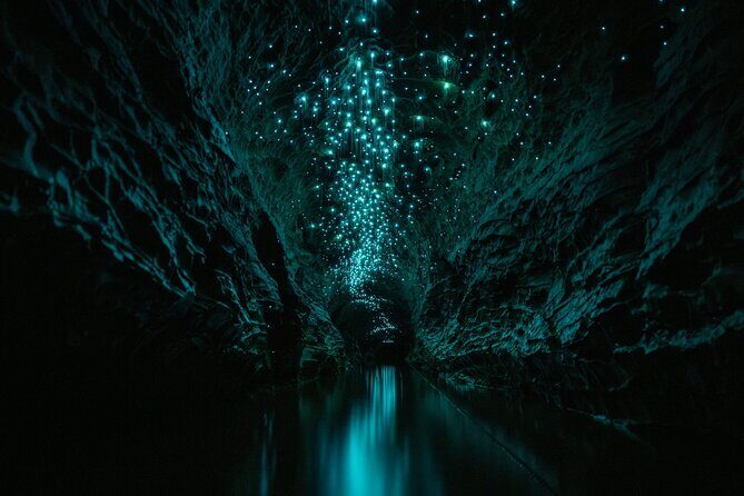 Okohua Glowworm Cave Adventure - Starting from Tumu Tumu Station: A Scenic Introduction