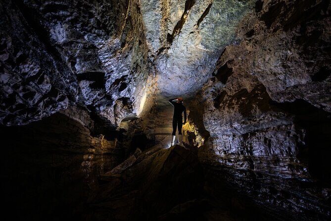 Okohua Glowworm Cave Adventure - A Walk in Native Bush and Relaxation