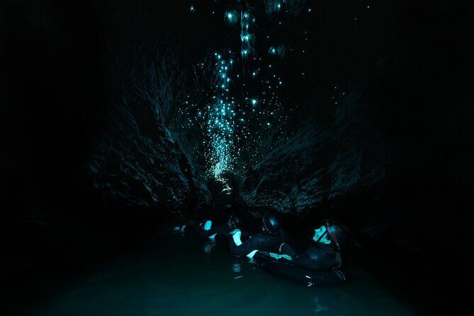 Okohua Glowworm Cave Adventure - The Benefits of a Small, Eco-Conscious Tour