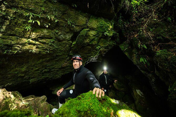 Okohua Glowworm Cave Adventure - Cost and Value for Your Money