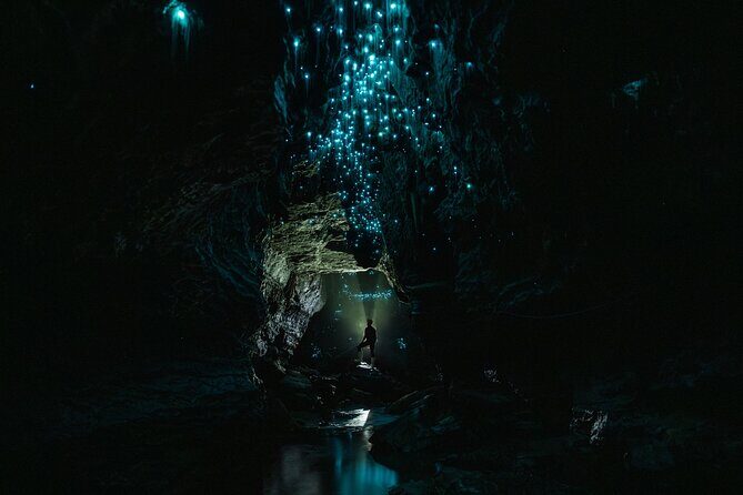 Okohua Glowworm Cave Adventure - What Past Travelers Say
