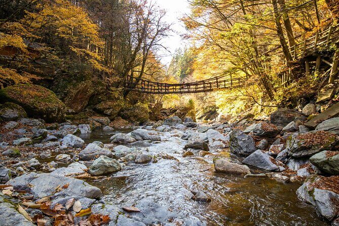 Oku-Iya Cab Plan 6 Hours Course / Tokushima, Shikoku - Who Is This Tour For?