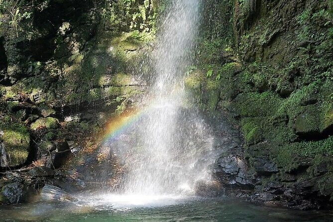 Oku-Iya Cab Plan 6 Hours Course / Tokushima, Shikoku - Final words