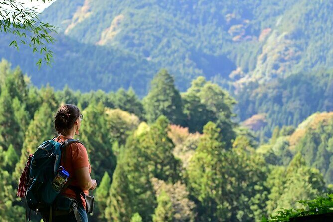 Okutama Forest Therapy Shinrin-yoku Tour with Lunch Options - Key Points