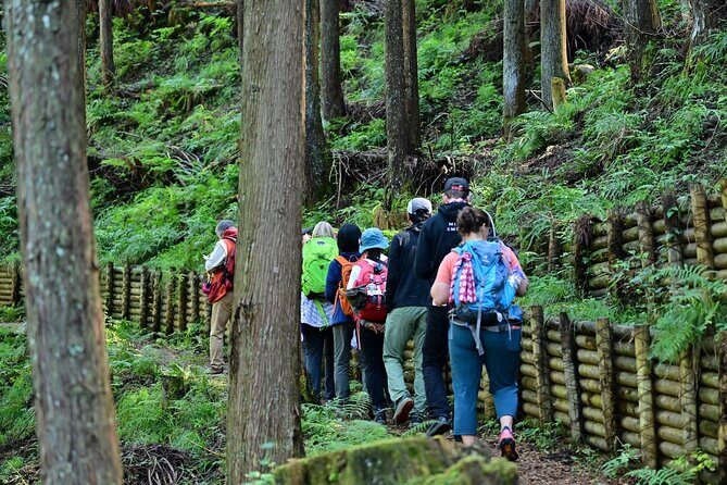 Okutama Forest Therapy Shinrin-yoku Tour with Lunch Options - A Deep Dive into the Okutama Forest Therapy Experience