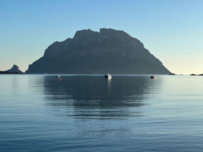 Olbia: Diving in Tavolara Marine Park in Sardinia - What to Expect at the Meeting Point and Transportation