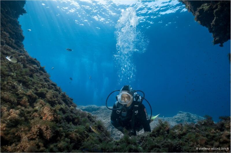 Olbia: Diving in Tavolara Marine Park in Sardinia - The Underwater Environment: Seeing Sardinia’s Marine Life
