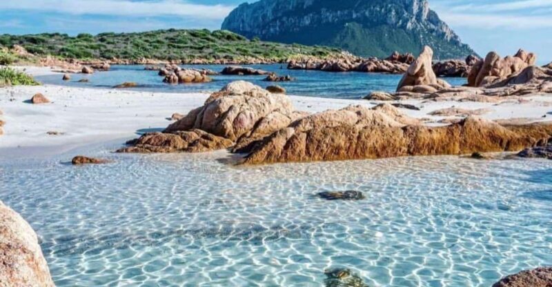 Olbia: Diving in Tavolara Marine Park in Sardinia - Who Will Love This Tour?