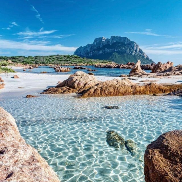Olbia: Diving in Tavolara Marine Park in Sardinia - The Cost and Value