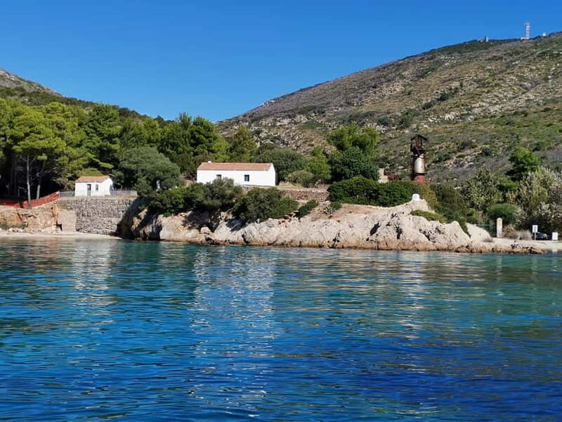 Olbia: Dolphin watching and snorkeling tour on Figarolo Island - A Final Word: Who Will Love This Tour?