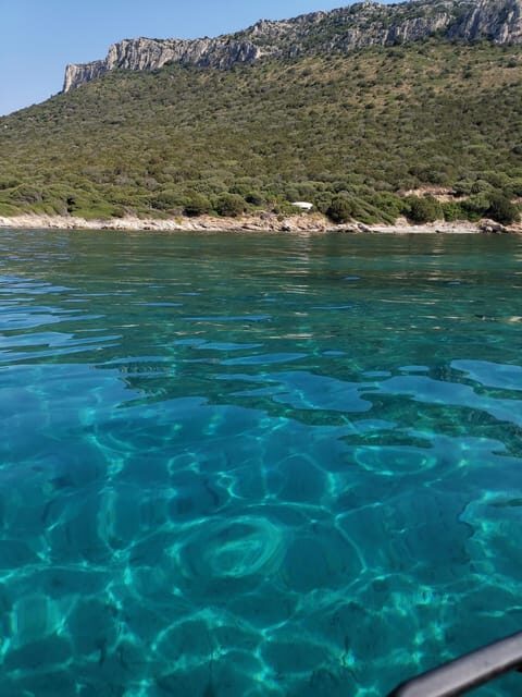 Olbia: Dolphin watching and snorkeling tour on Figarolo Island - FAQ: Your Practical Questions Answered