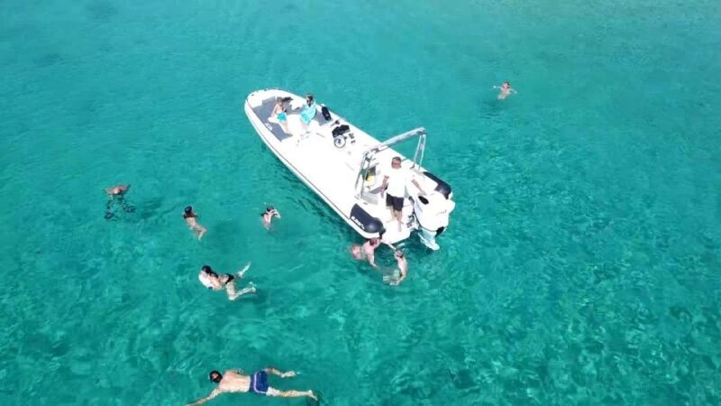 Olbia: Dolphin Watching & Snorkeling Boat Tour near Figarolo - A Detailed Look at the Olbia Dolphin & Snorkeling Tour