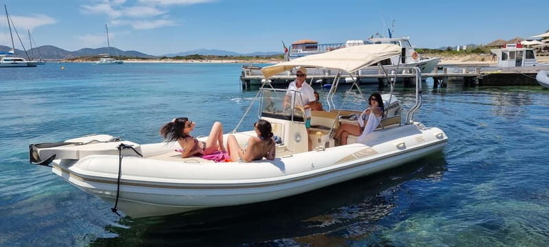 Olbia: Dolphin Watching & Swim with prosecco aperitif - What It Feels Like to Be on This Tour