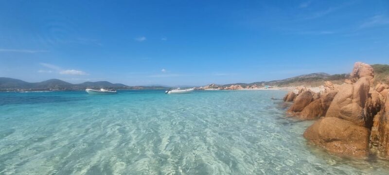 Olbia: Dolphin Watching & Swim with prosecco aperitif - Practical Tips for Participants