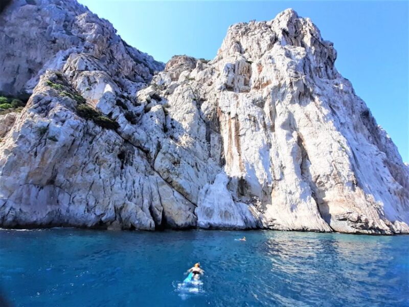 Olbia: Dolphin Watching Tour with Figarolo Island Snorkeling - Who Will Enjoy This Tour?