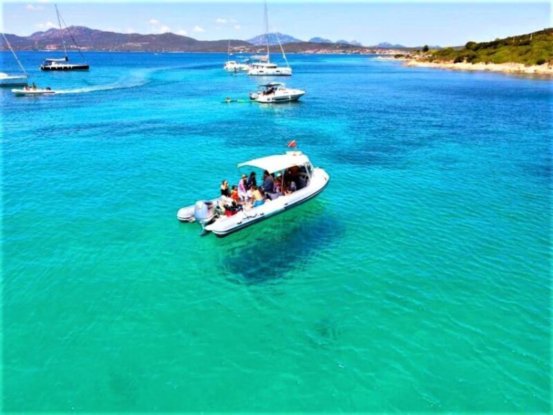 Olbia: Dolphin Watching Tour with Figarolo Island Snorkeling - Frequently Asked Questions