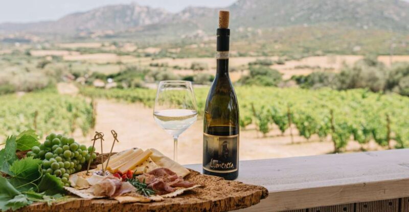 Olbia: Gallura Winery Guided Tour with Tasting - An Immersive Journey Through Sardinian Wine and Hospitality
