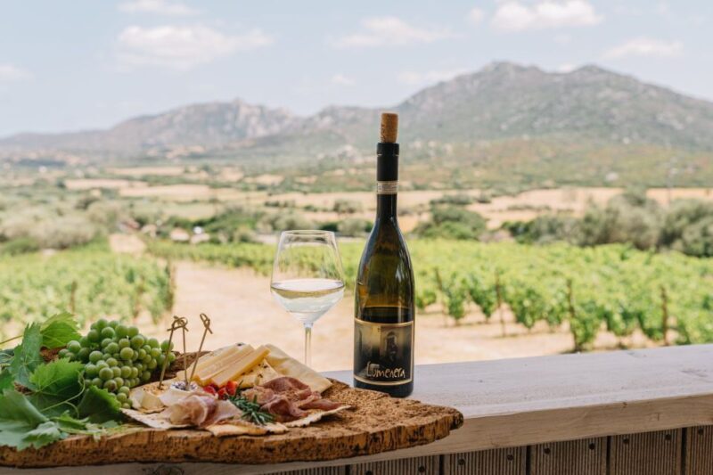 Olbia: Gallura Winery Guided Tour with Tasting - Who Should Consider This Tour?