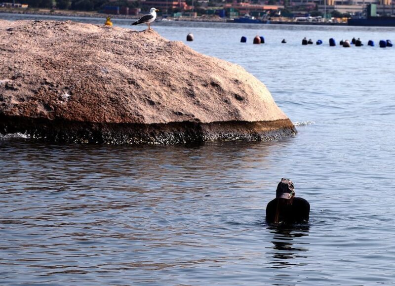 Olbia: Gulf of Olbia boat tour - A Detailed Look at the Olbia Gulf Boat Tour