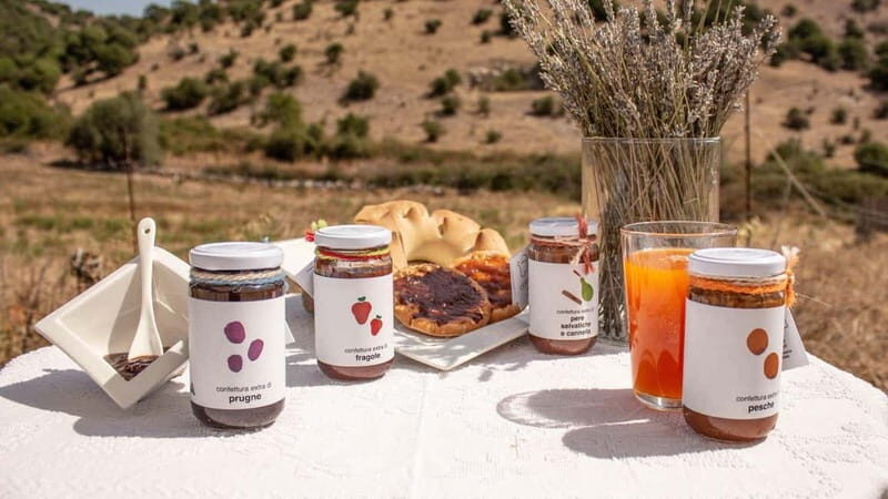Olbia: jam tasting in Tula - An In-Depth Look at the Experience