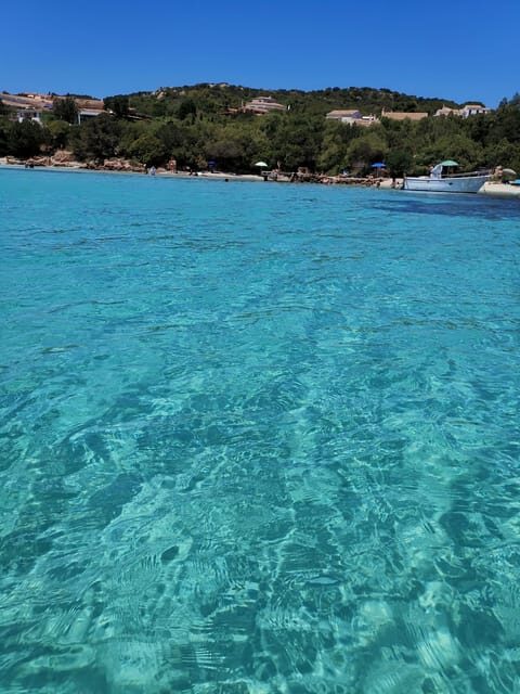 Olbia: Private excursion and snorkeling to the islands of Tavolara and Molara - Why This Tour Stands Out