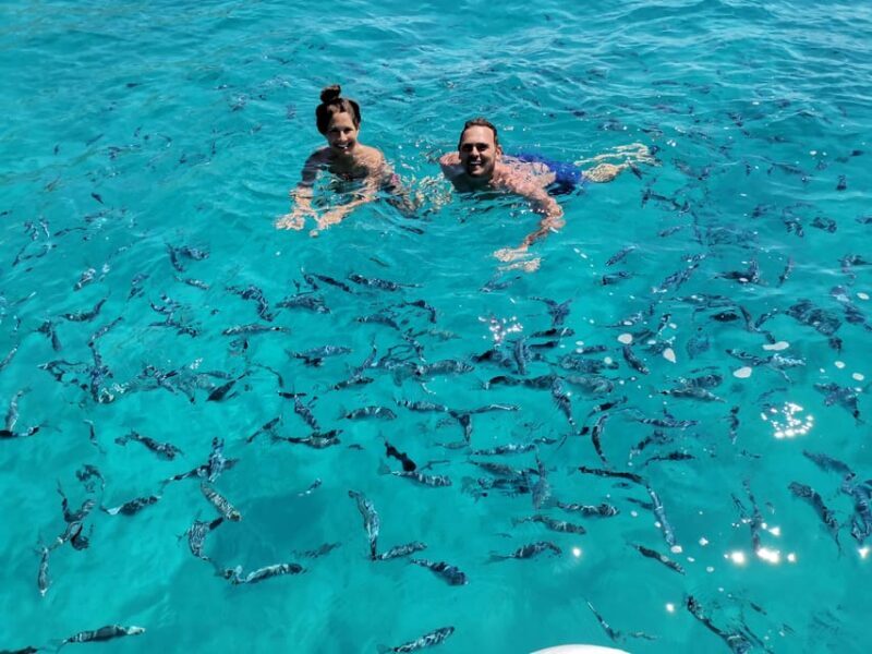 Olbia: Private excursion and snorkeling to the islands of Tavolara and Molara - Transportation, Timing, and Group Size