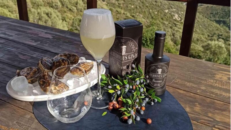 Olbia: visit a gin-making factory with tasting - An Authentic Taste of Sardinia: An In-Depth Review