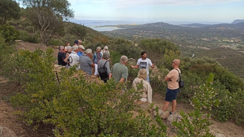 Olbia: visit a myrtle-making factory with tasting - Key Points