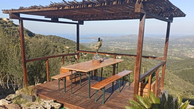 Olbia: visit a myrtle-making factory with tasting - The Sensory Tasting: Flavors and Aromas