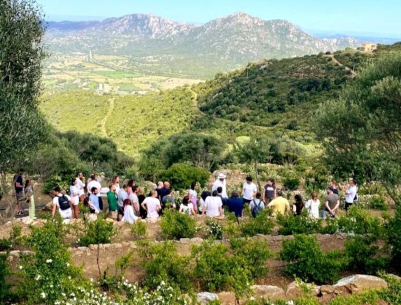 Olbia: visit a myrtle-making factory with tasting - Who Would Love This Tour?