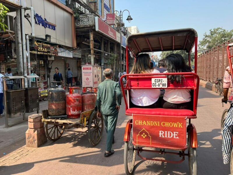 Old and New Delhi City Private Day Tour - 4 to 8 Hours - The Experience of a Guided Tour