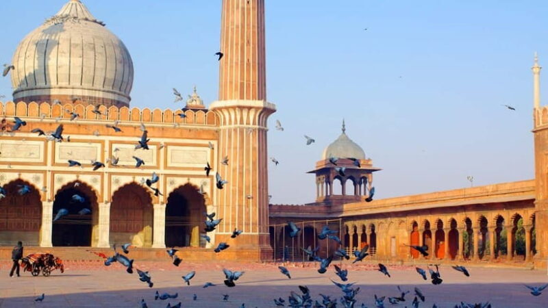 Old and New Delhi Private Full or Half Day Tour Upto 8 Hours - FAQs