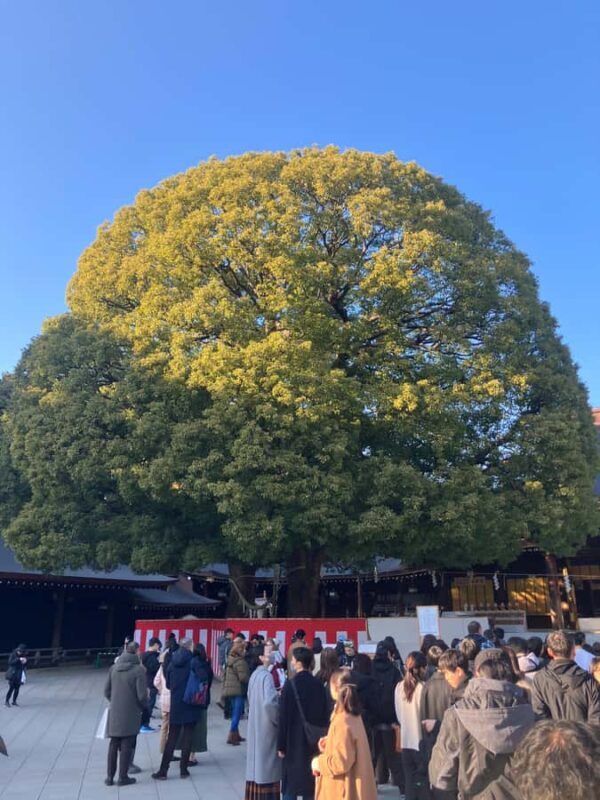 Old and new: Meiji Shrine, Takeshita Street & Shibuya Tour - Exploring the Stops in Depth