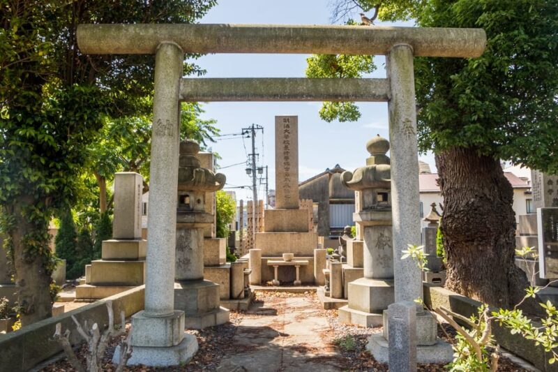 Old and Nostalgic Tokyo: Half-Day Yanaka Walking Tour - Who Will Love This Tour?