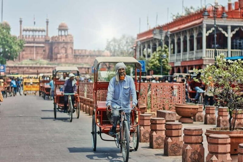 Old Delhi: Half Day Private Guided Tour and Rickshaw Ride - Key Points