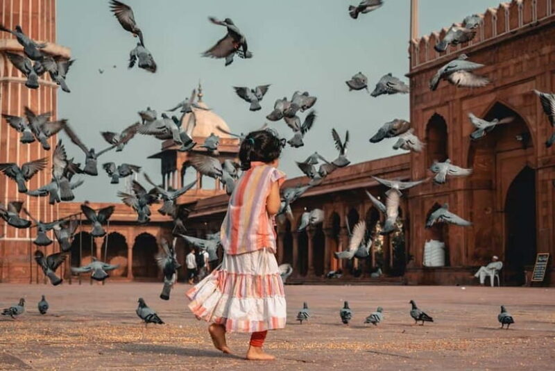 Old Delhi: Half Day Private Guided Tour and Rickshaw Ride - An In-Depth Look at the Tour Experience