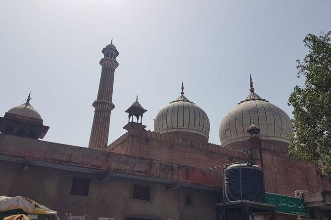 Old Delhi Walking Tour - A Practical Look at the Old Delhi Walking Tour
