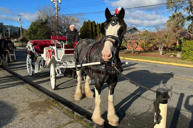 Old fashioned Horse Drawn Caroling Tour - A Cozy, Classic Holiday Ride Through Victoria