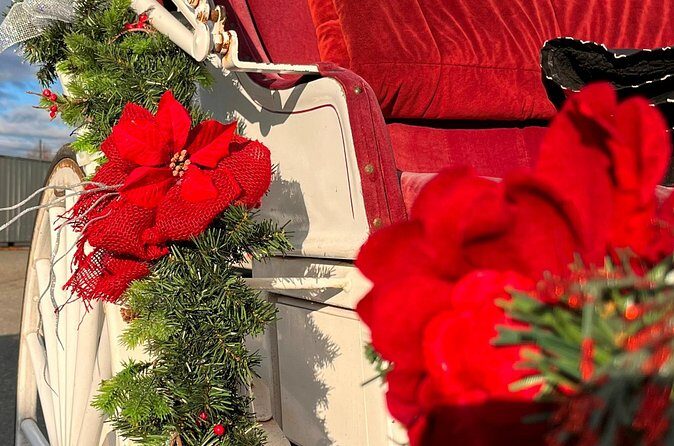 Old fashioned Horse Drawn Caroling Tour - The Sum Up