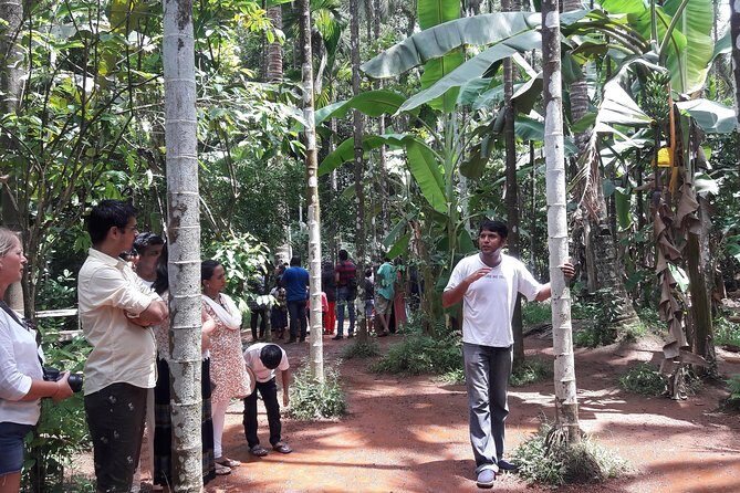 Old Goa Churches, Temples & Spice Plantation With "Goan" Lunch - Who Will Love This Tour?