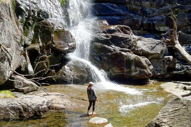 Old Growth Forest Cascade - Key Points