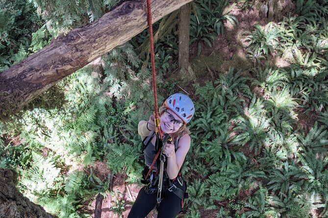 Old-Growth Tree Climbing at Silver Falls State Park - An In-Depth Look at the Old-Growth Tree Climbing Experience